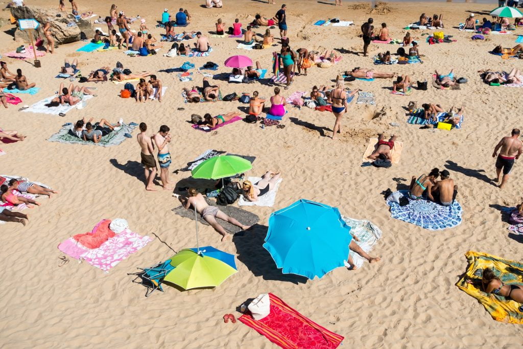 Sun, Sand, and Serenity: Crafting the Perfect Beach Day Experience