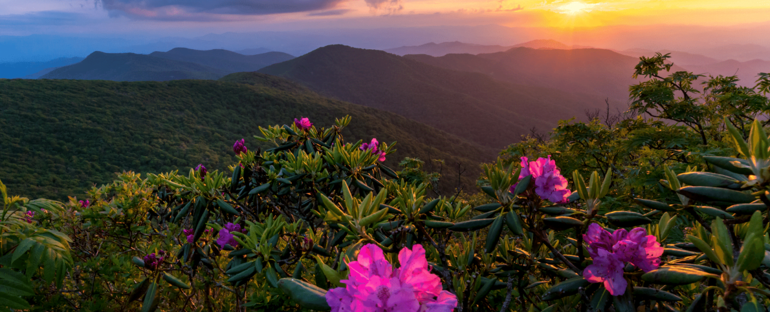 Discover Blue Ridge, Georgia: A Hidden Gem in the Blue Ridge Mountains