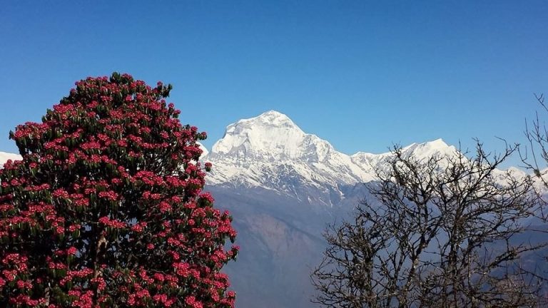 Unveiling Nepal: A Comprehensive Travel Guide for Adventure Enthusiasts